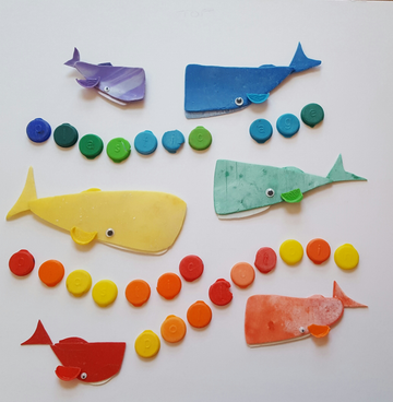 All About Smartie Lids – Smartie Lids on the Beach